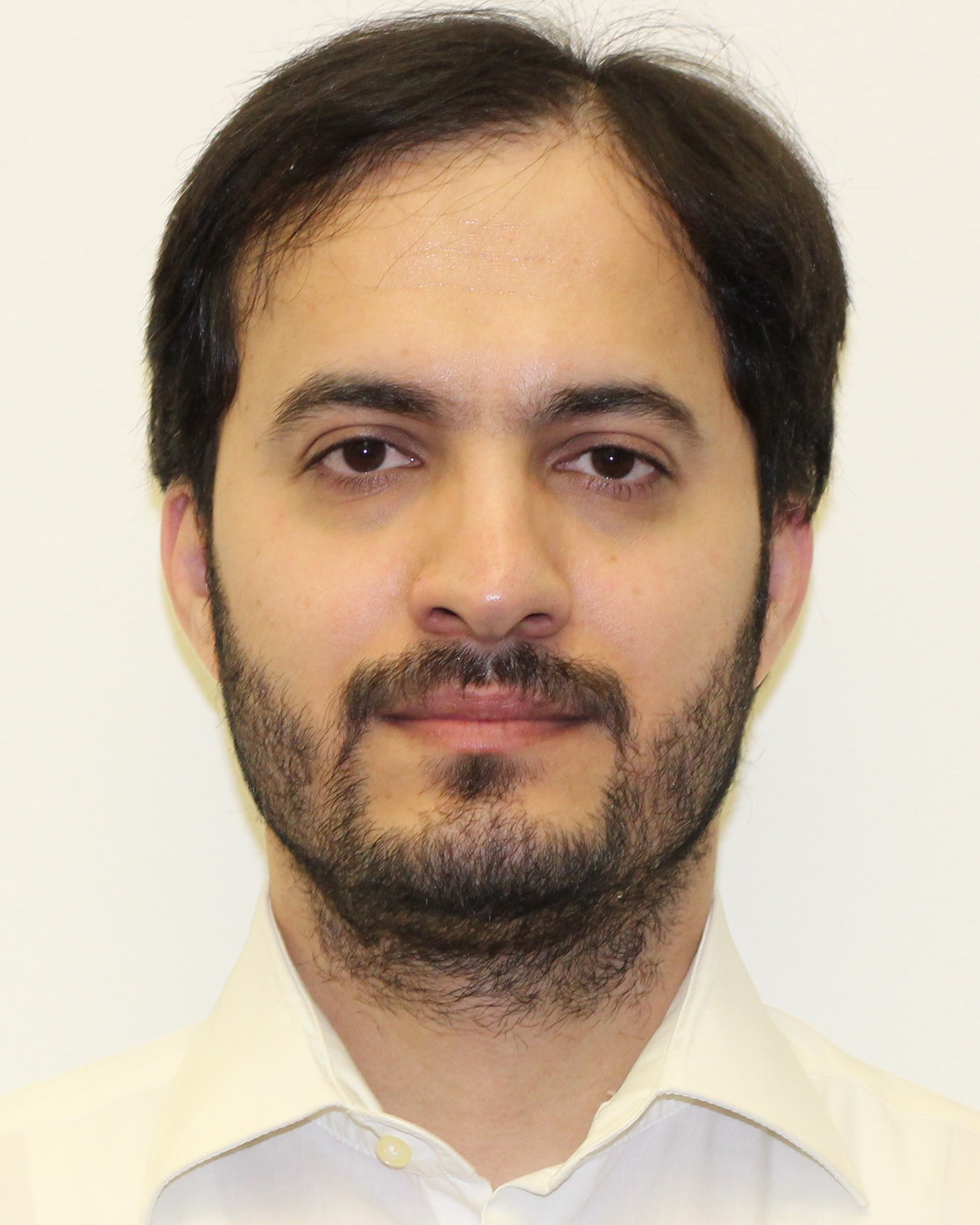 Arbeitsgruppe Datenbanken und Software Engineering - Sajad Karim